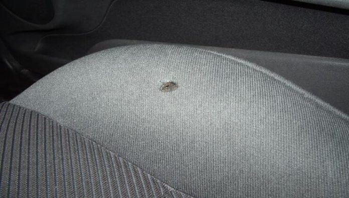 Sedile auto, se si buca a causa di una bruciatura: ti basta fare così ...